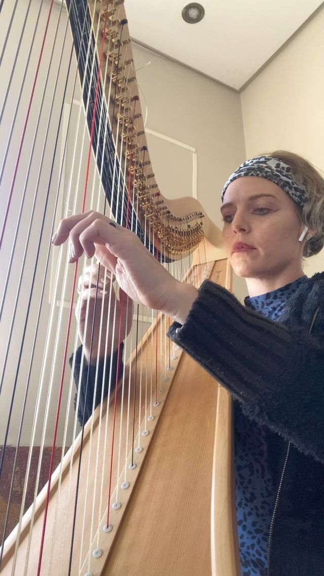 Addition to the Harp Affair family | Harp Affair